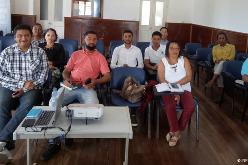 Brava: Employment and Employability Network plans next project phase ...